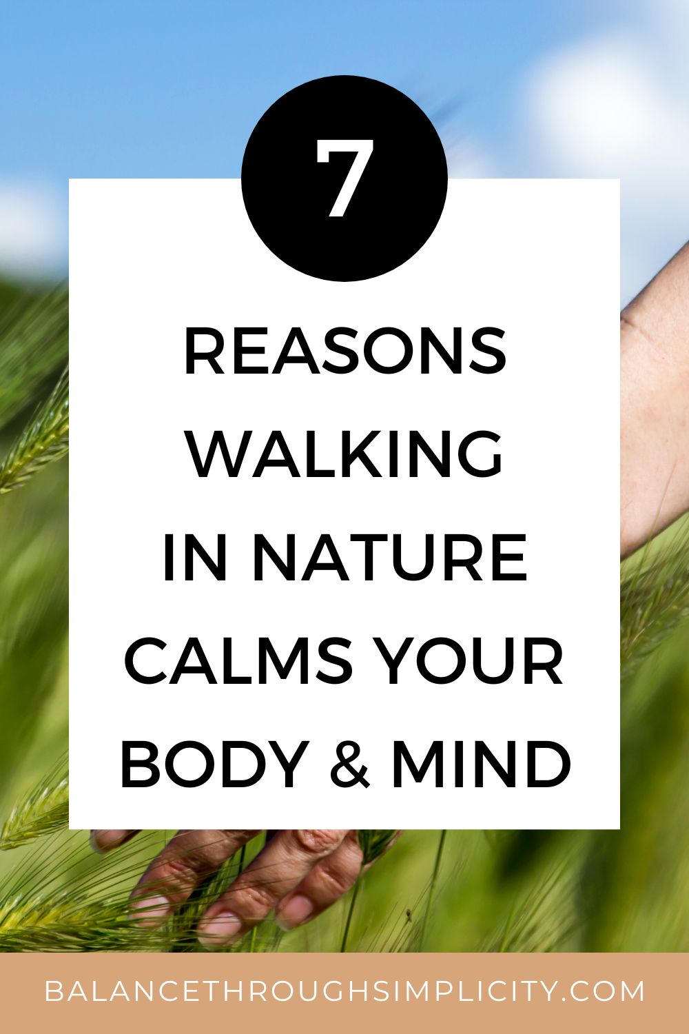 7 Reasons a Walk in Nature Calms Your Body and Declutters Your Mind