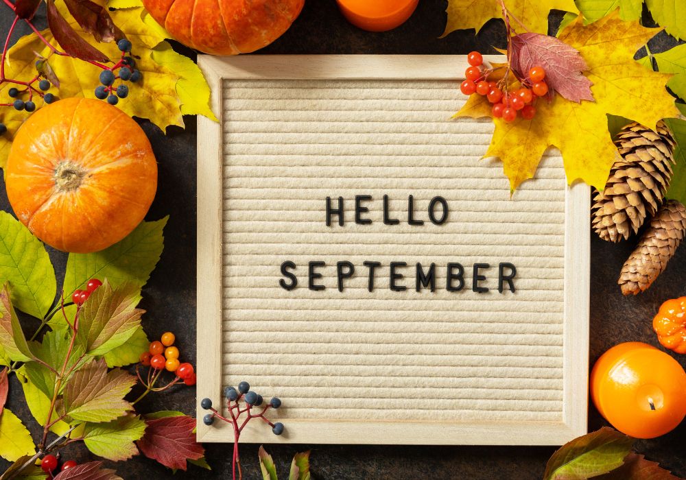 September Declutter Challenge to Get Ready for the Autumn Busy Season